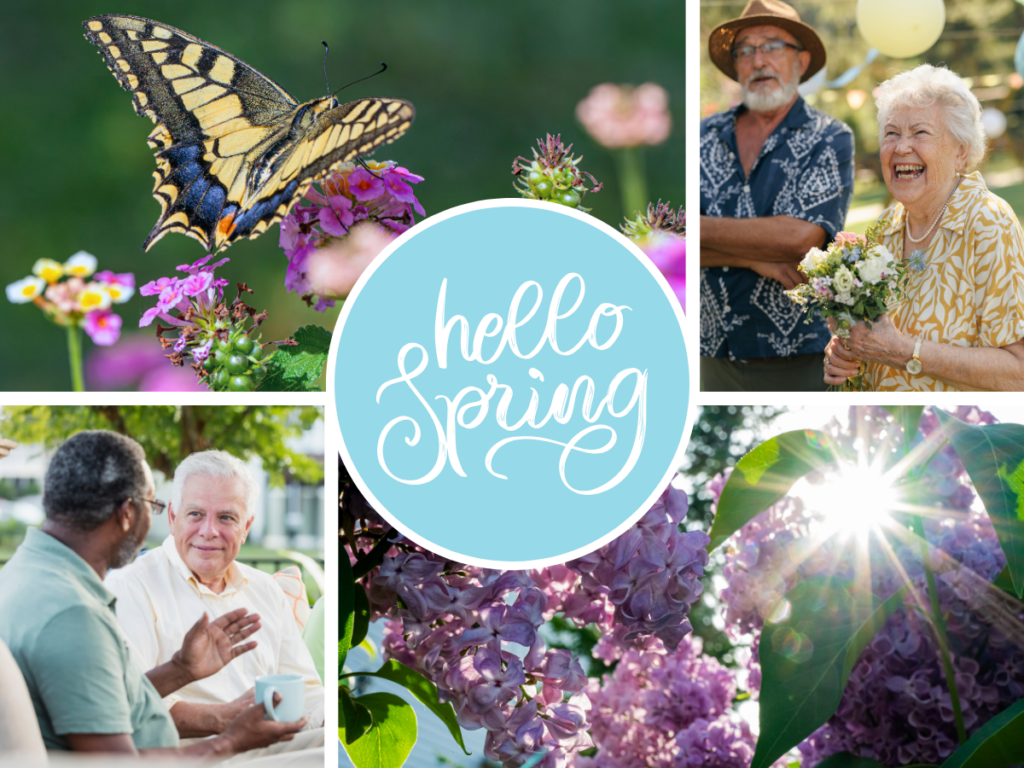 Spring in Full Swing: Outdoor Renewal and Joyful Gatherings - The ...